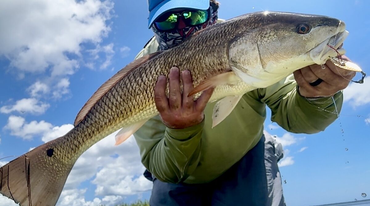 Space Coast Fishing Forecast (Week of June 16 2026)